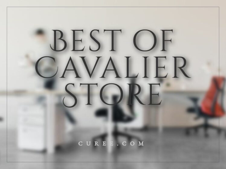 20 Best of Cavalier Store of 2024 - Ergonomic Desk Chairs
