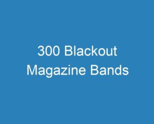 20 Best 300 Blackout Magazine Bands [2023] - Curee