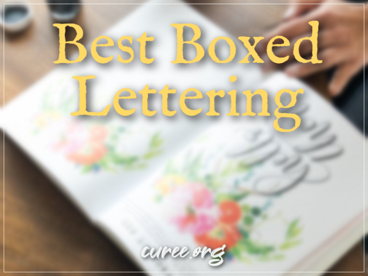 20 Best Boxed Lettering 2024 - Perfect Christmas Cards!
