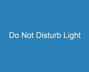 20 Best Do Not Disturb Light [2023] - Curee