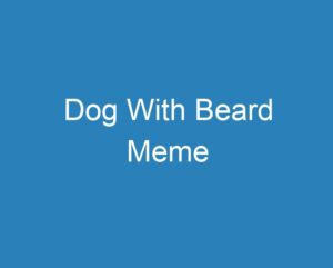 20 Best Dog With Beard Meme [2023] - Curee