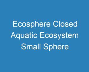 20 Best Ecosphere Closed Aquatic Ecosystem Small Sphere [2023] - Curee