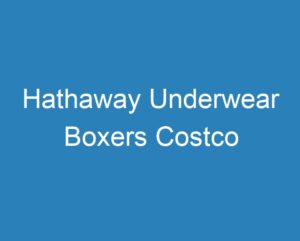 20 Best Hathaway Underwear Boxers Costco [2023] - Curee