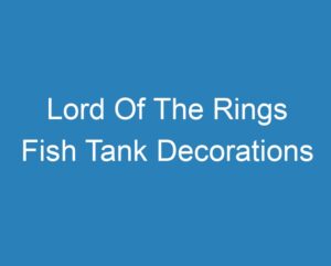 20 Best Lord Of The Rings Fish Tank Decorations [2023] - Curee