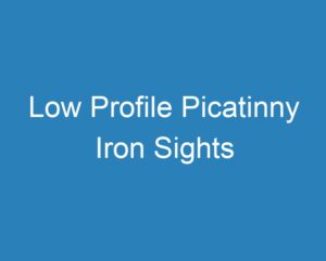 20 Best Low Profile Picatinny Iron Sights [2023] - Curee