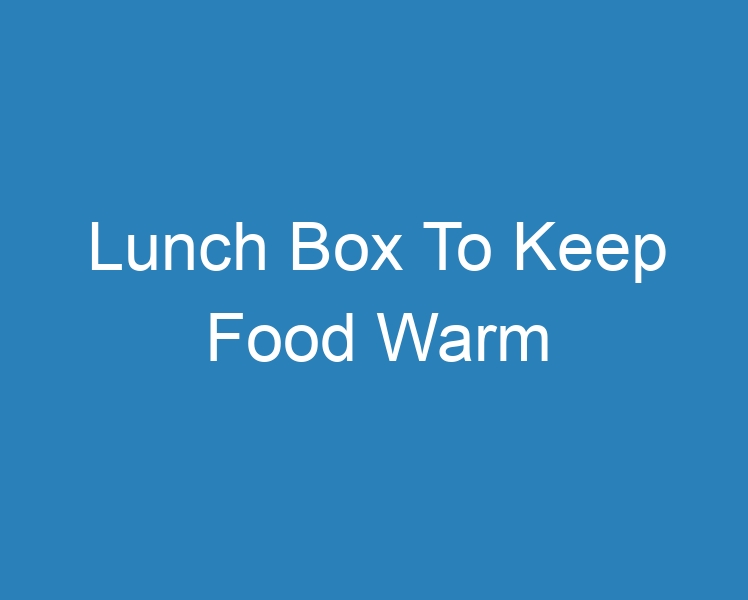 20 Best Lunch Box To Keep Food Warm 2023 Curee