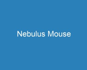 20 Best Nebulus Mouse [2023] - Curee