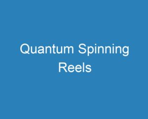 20 Best Quantum Spinning Reels [2023] - Curee