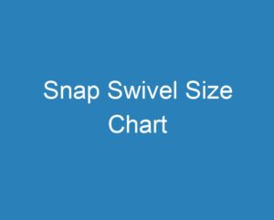 20 Best Snap Swivel Size Chart [2023] - Curee