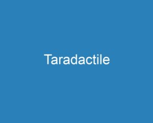 20 Best Taradactile [2023] - Curee