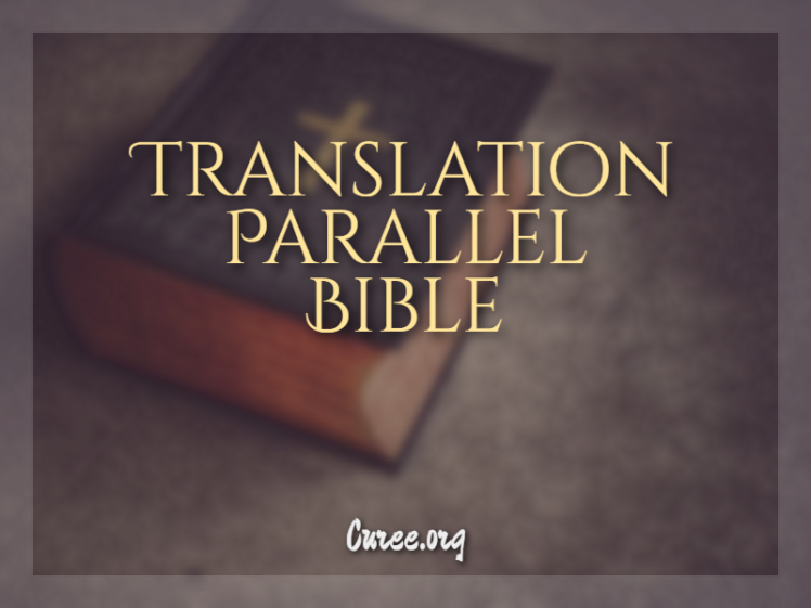 20 Best Translation Parallel Bible 2024 - Most Accurate Bibles