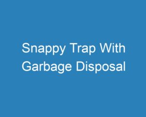 20 Best Snappy Trap With Garbage Disposal [2023] - Curee